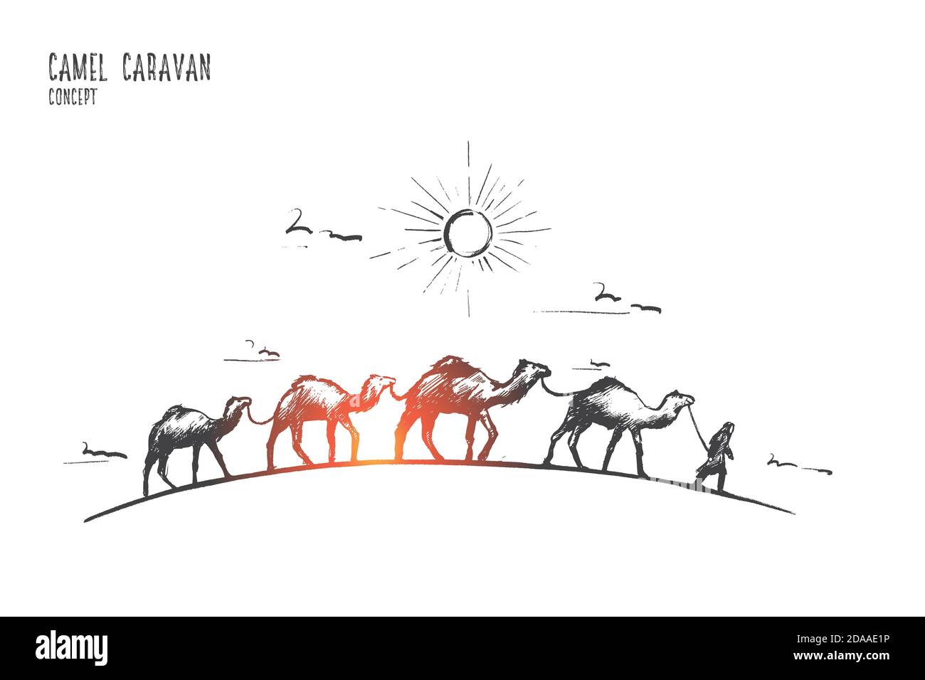 Camel Caravan Vector