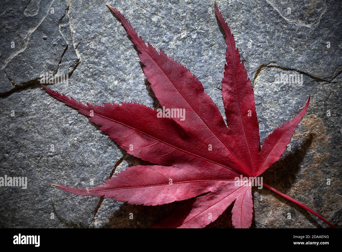 Red stone texture hi-res stock photography and images - Alamy