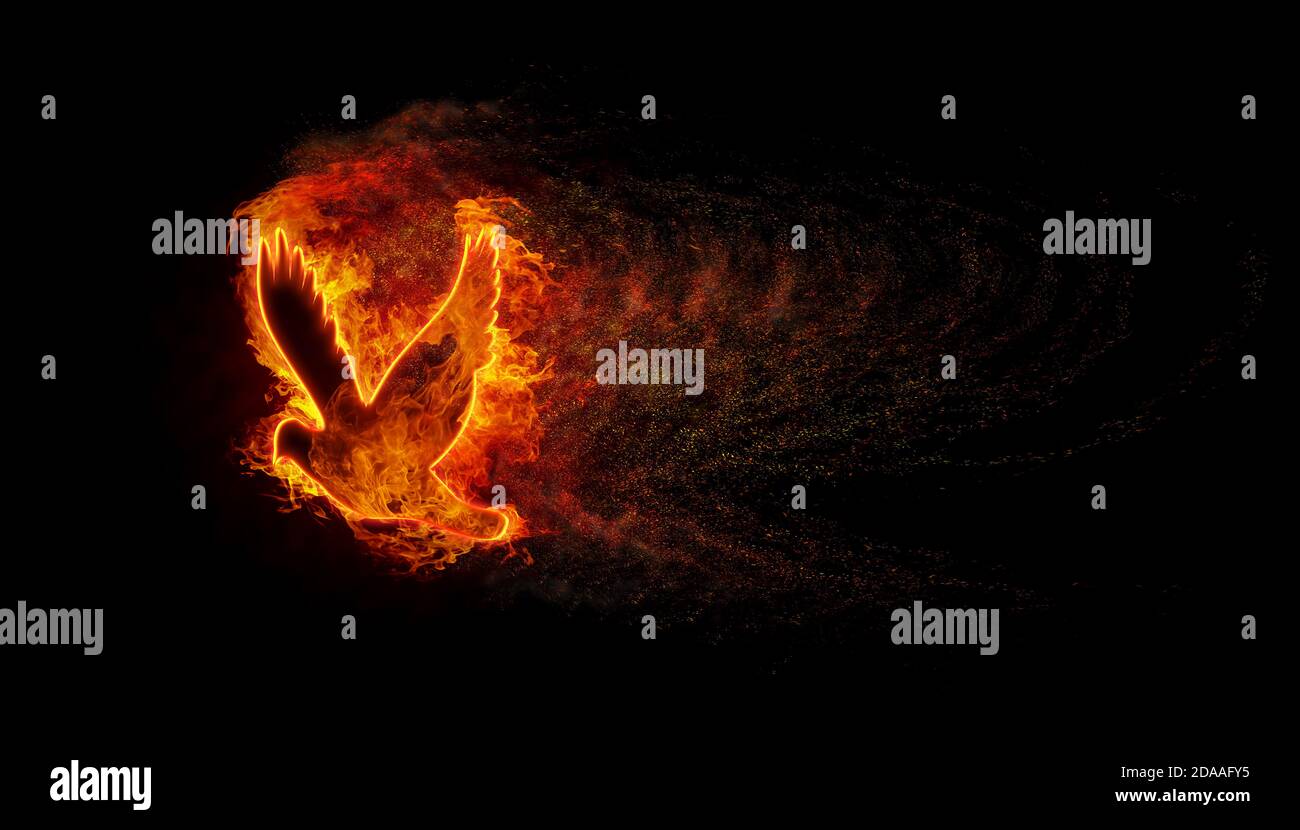 Silhouette of the bird with the flames of fire and explosion with lots ...