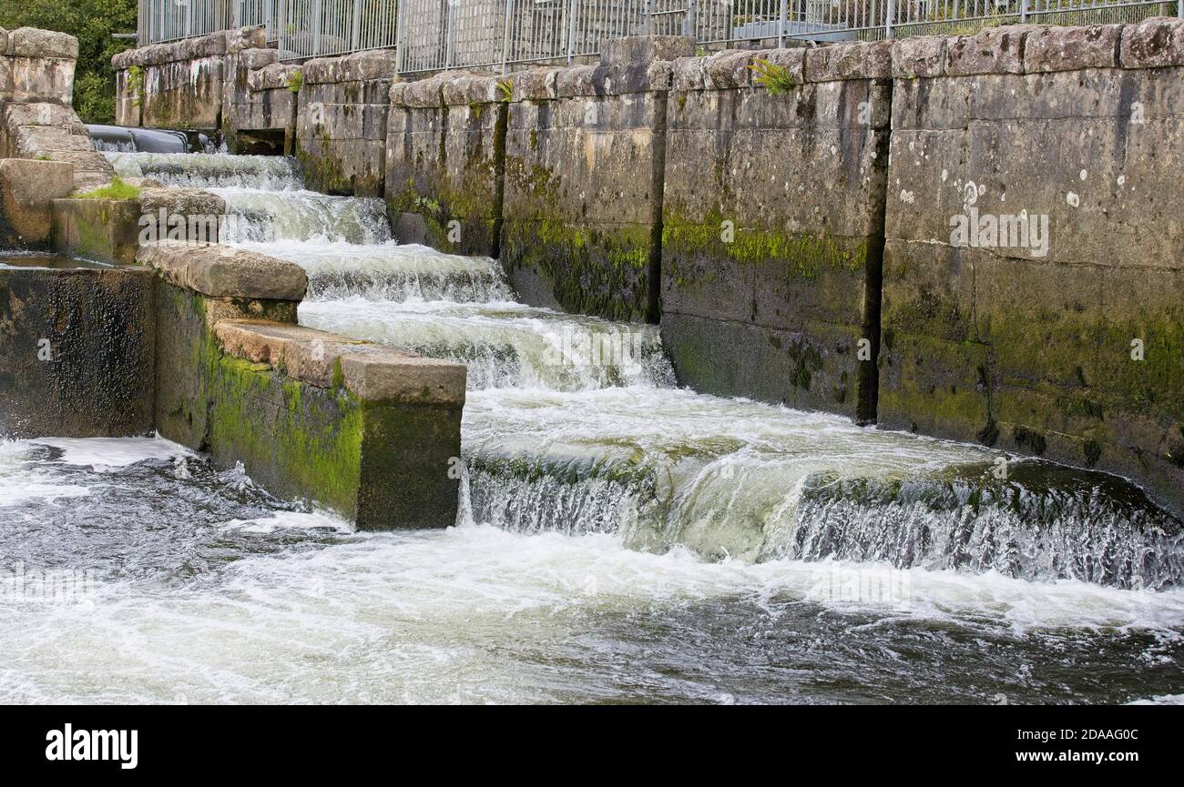 Fish ladder at Lopwell Dam, a weir on the River Tavy, Devon, England ...