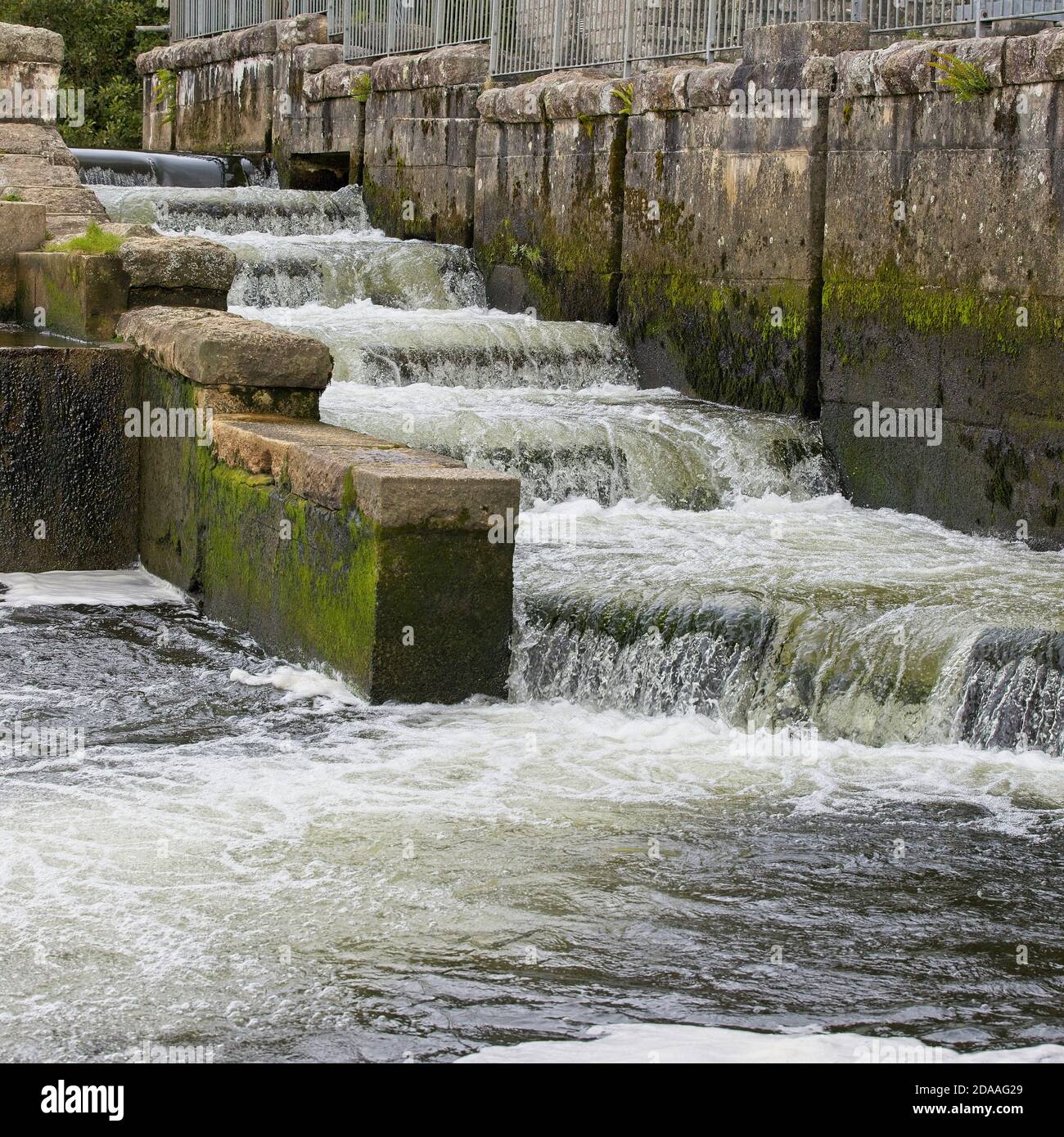 Fish ladder at Lopwell Dam, a weir on the River Tavy, Devon, England ...