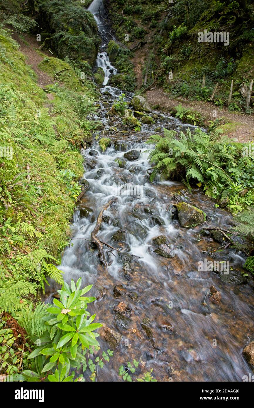Dartmoor Waterfall High Resolution Stock Photography and Images - Alamy