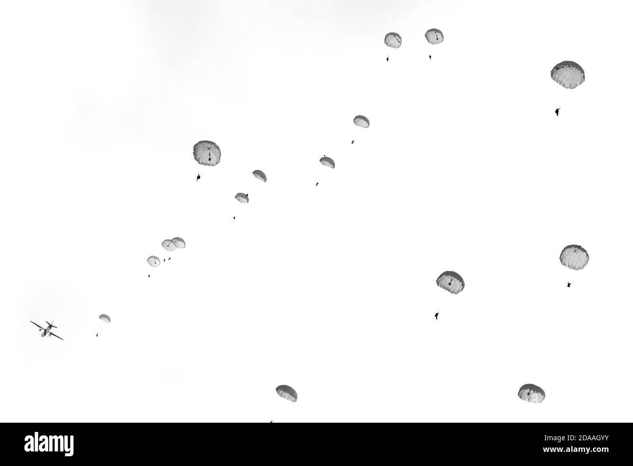 Ukrainian soldiers training Cut Out Stock Images & Pictures - Alamy