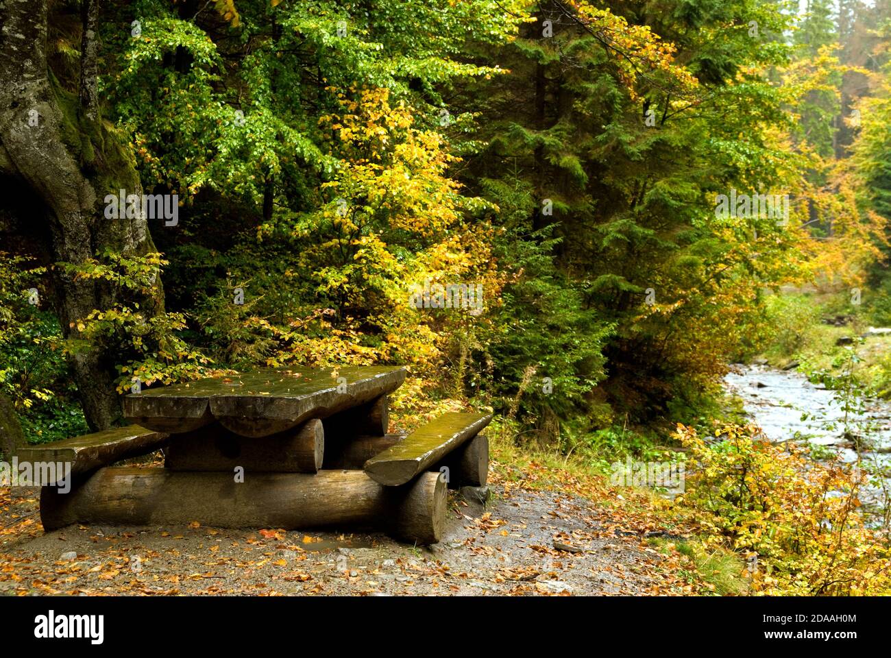 Unique carpathian hi-res stock photography and images - Alamy