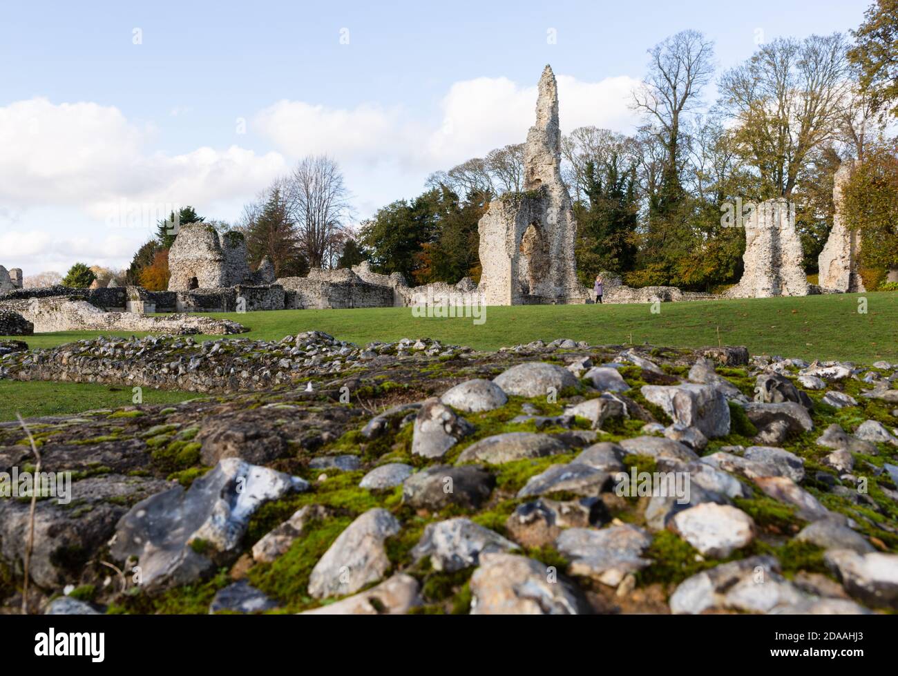 The Priory of Our Lady of Thetford, a Medieval Cluniac monastery ...