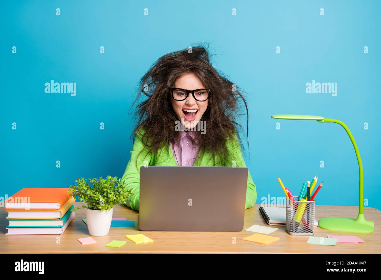 Portrait of crazy messy hair girl student sit desk work remote laptop ...