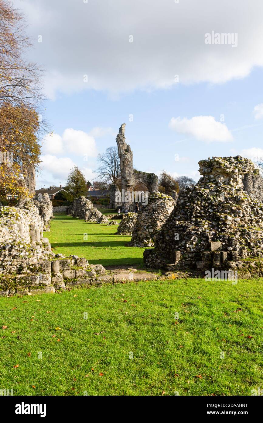 The Priory of Our Lady of Thetford, a Medieval Cluniac monastery ...