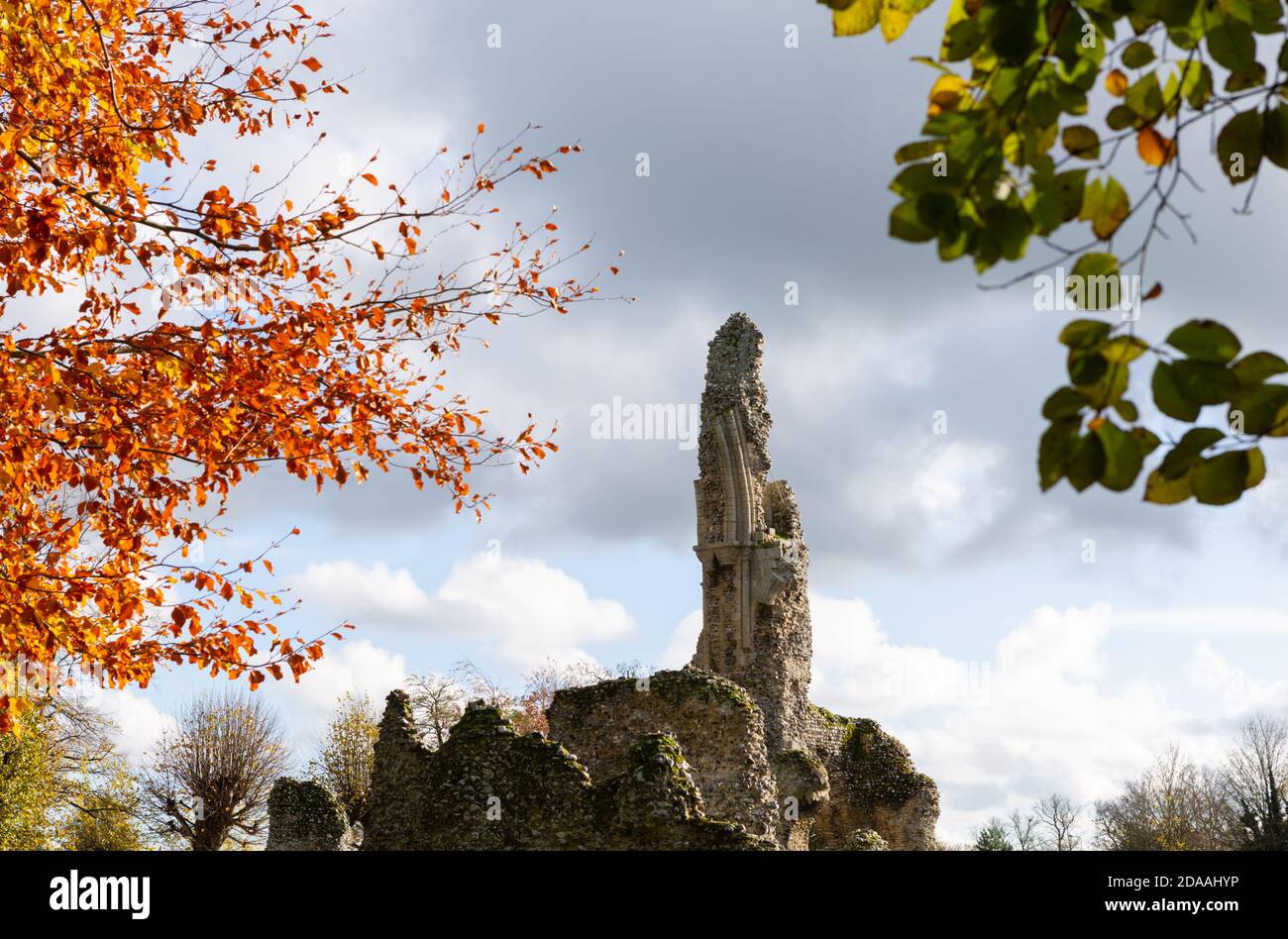The Priory of Our Lady of Thetford, a Medieval Cluniac monastery ...