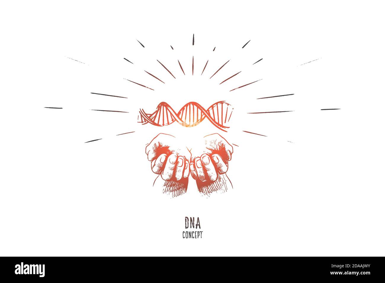 DNA concept. Hand drawn isolated vector Stock Vector Image & Art - Alamy