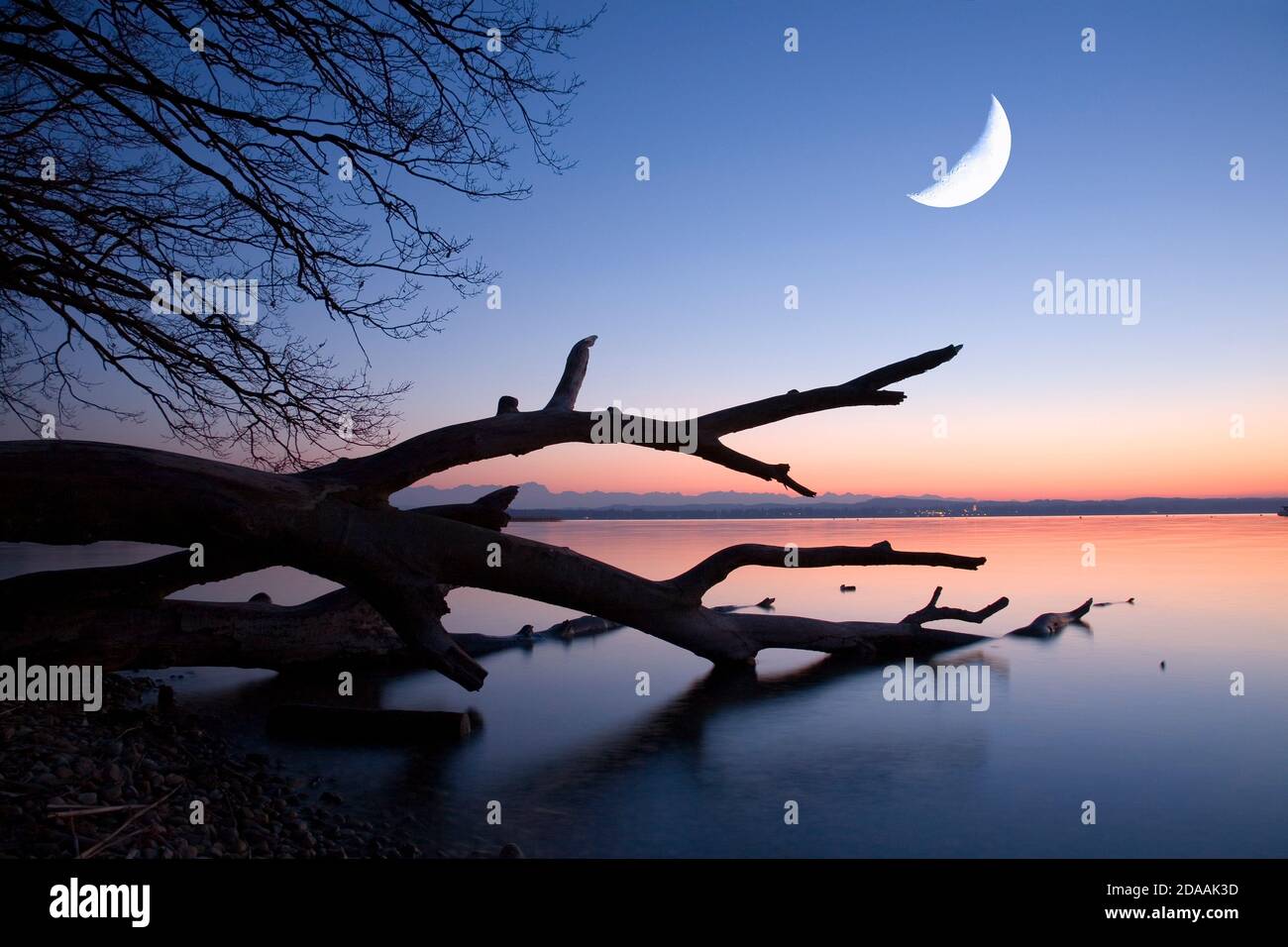 Tree of munsing hi-res stock photography and images - Alamy