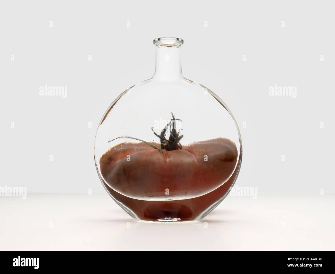 Tomato distorted through a bottle of water - refraction example ...