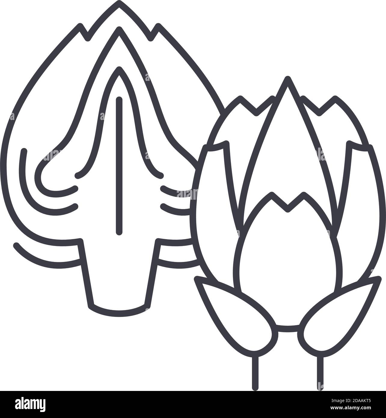 Artichoke line art hi-res stock photography and images - Alamy