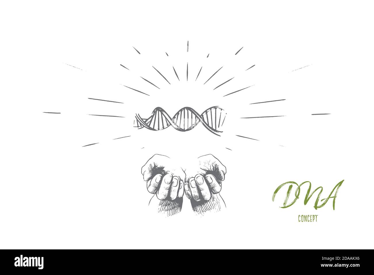 DNA concept. Hand drawn isolated vector Stock Vector Image & Art - Alamy