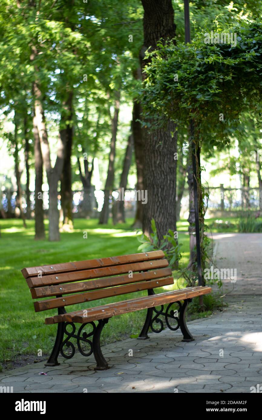 Bench in a park, green nature, summer Stock Photo - Alamy