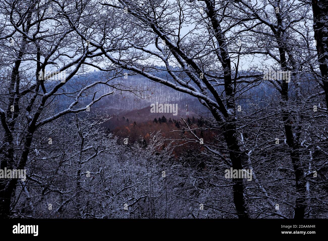 Mountain landscape, Romania view, cold tone Stock Photo - Alamy