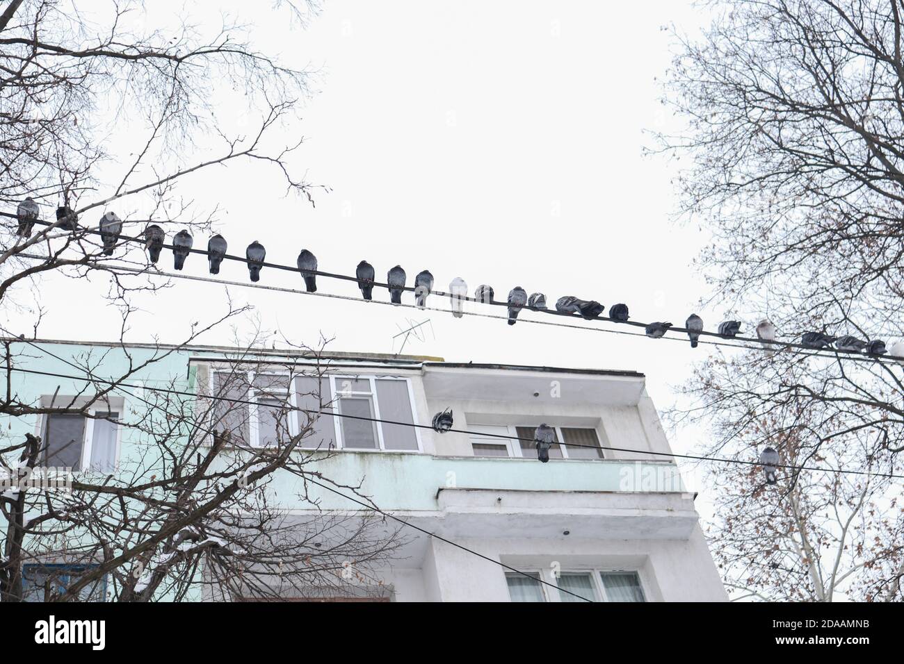 Tall building for living, beautiful sky and sunshine, human place Stock ...
