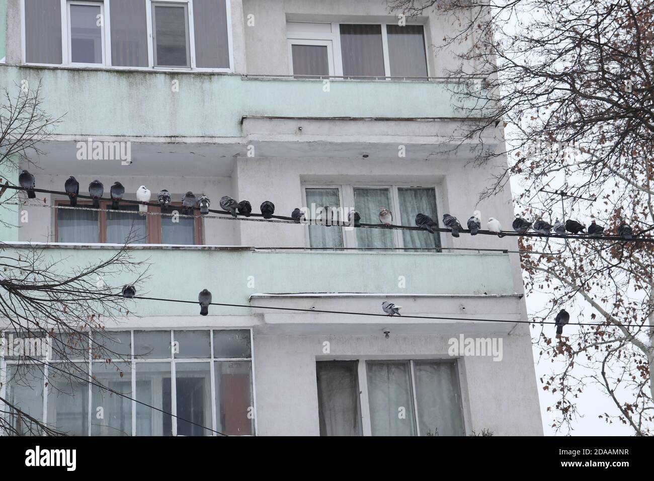 Tall building for living, beautiful sky and sunshine, human place Stock ...