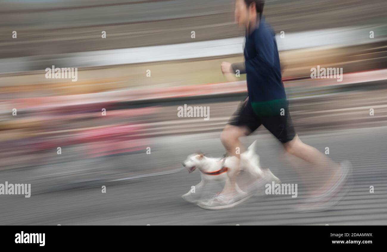 Man runs with his dog outside. Intentional motion blur Stock Photo - Alamy