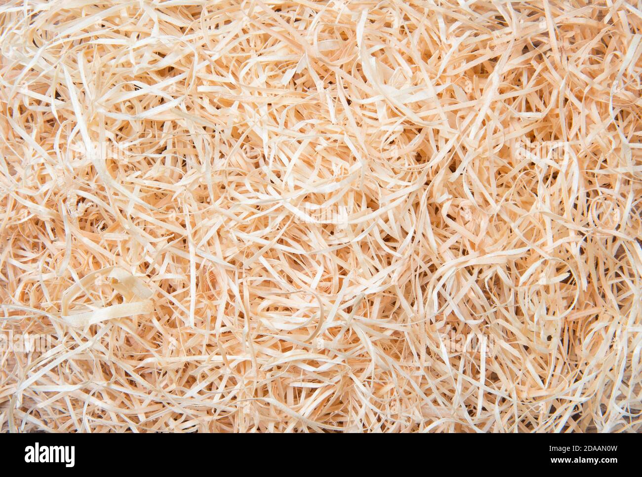 Top view of natural color shredded wood excelsior for filling inside ...