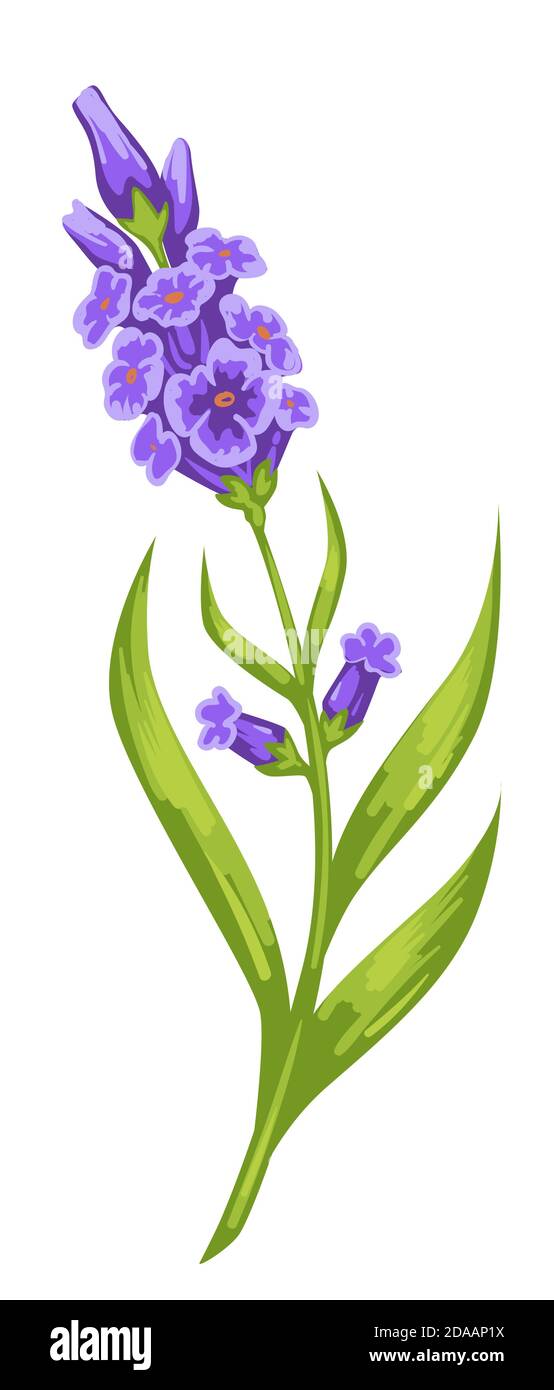 Leaf color thick Stock Vector Images - Alamy