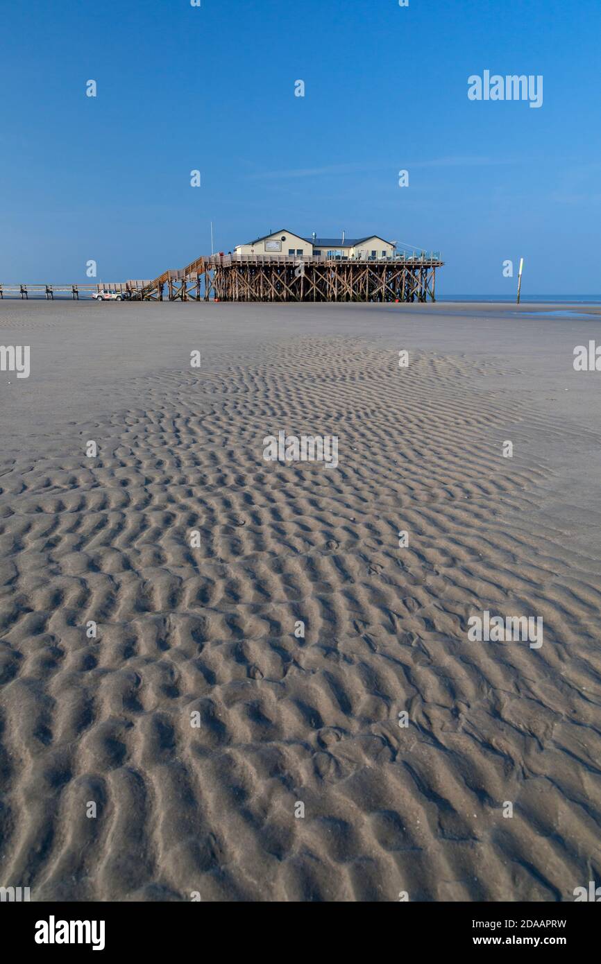 Northern penins hi-res stock photography and images - Alamy