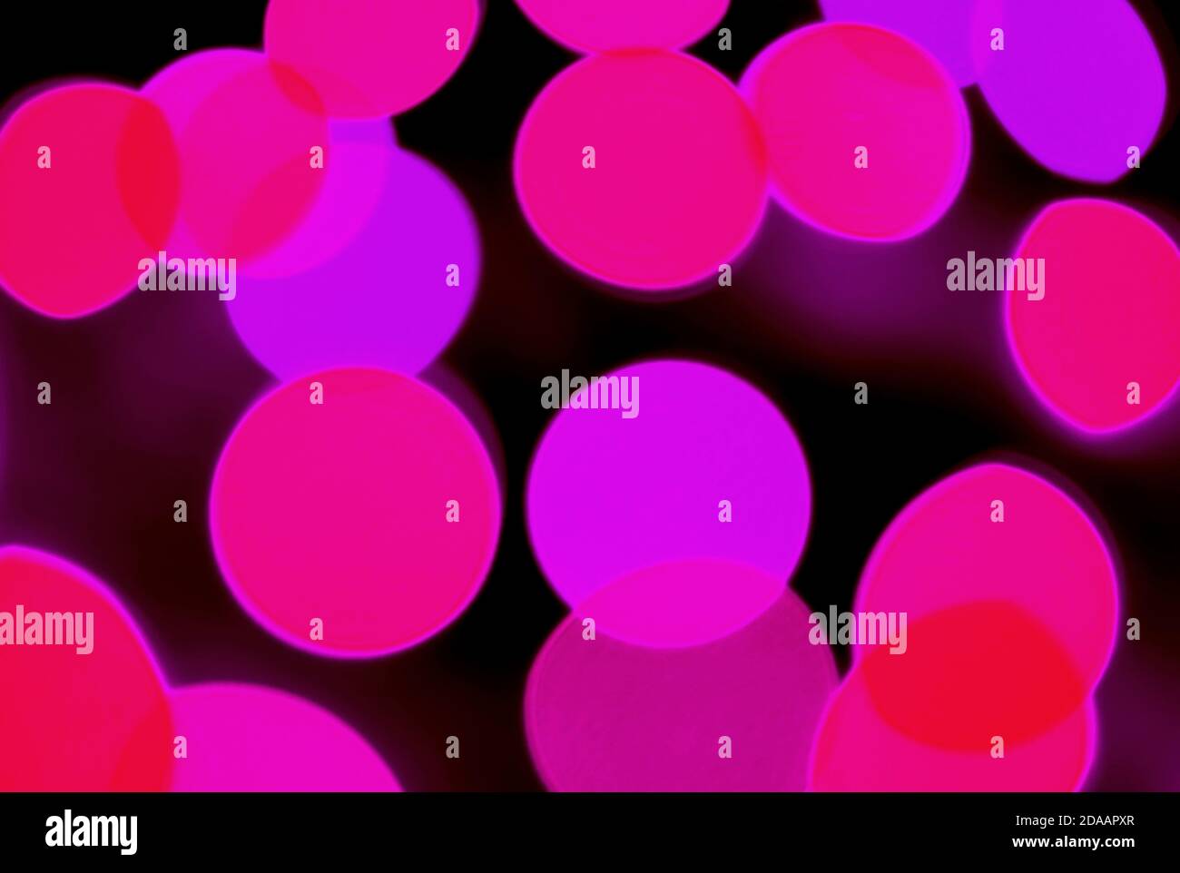 Abstract Blurred Hot Pink and Purple Color Illuminated Light Splashing ...