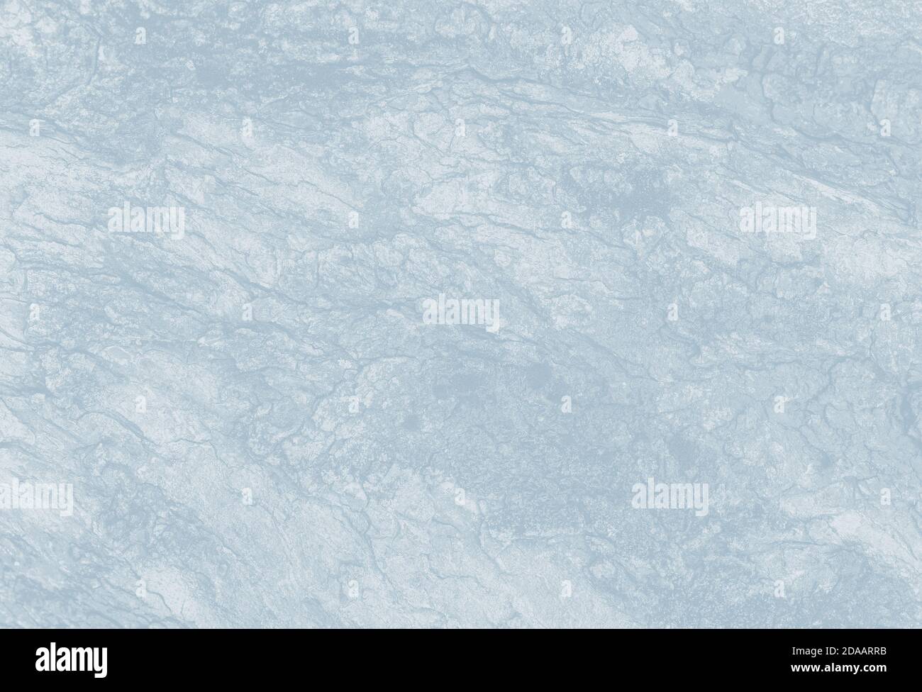 Old tree bark. Abstract nature background texture. Photo of tree bark ...