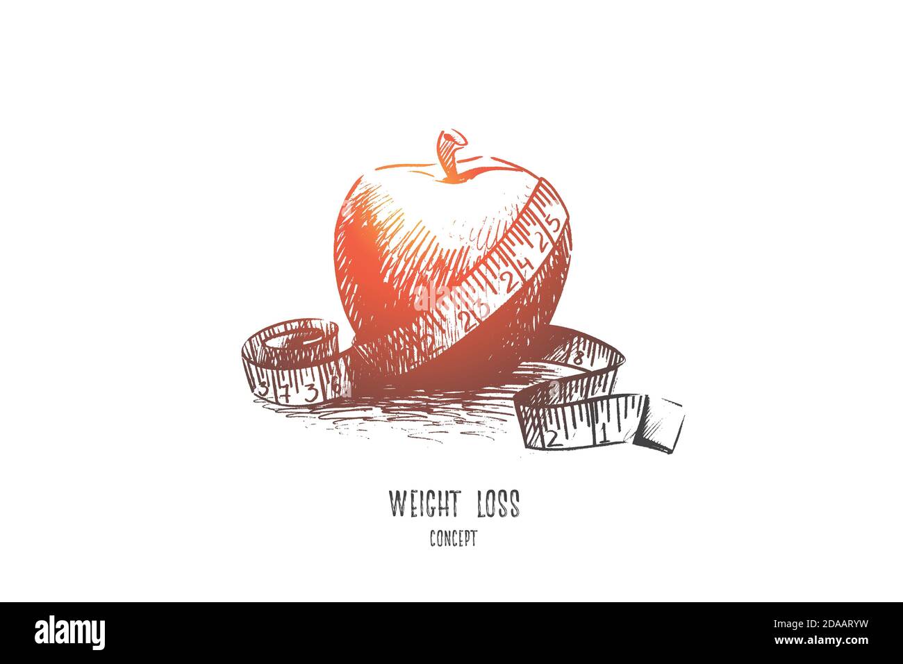 Weight loss concept. Hand drawn isolated vector Stock Vector Image ...