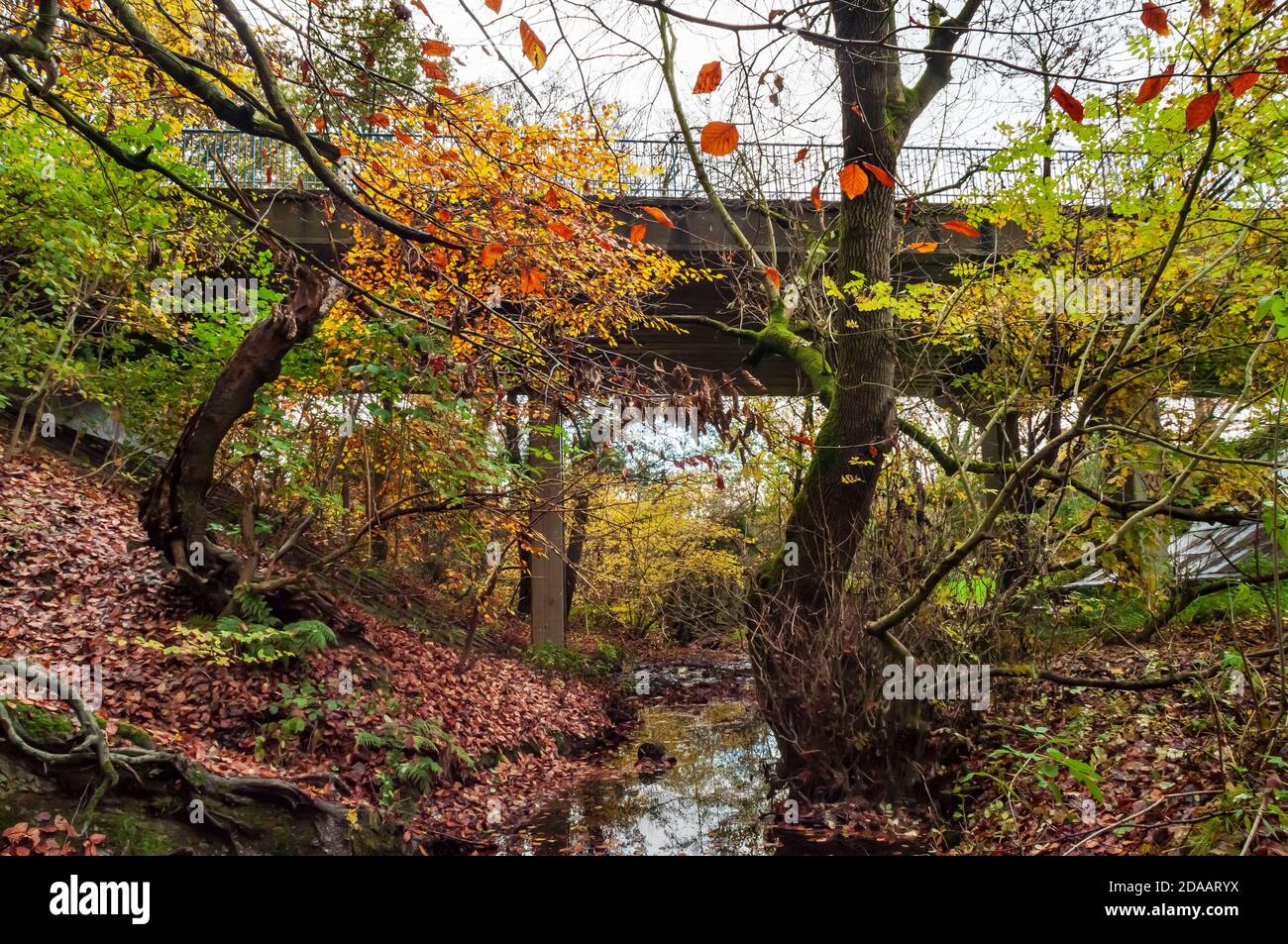 Stream through woodland by a concrete road bridge in Rollestone Wood ...