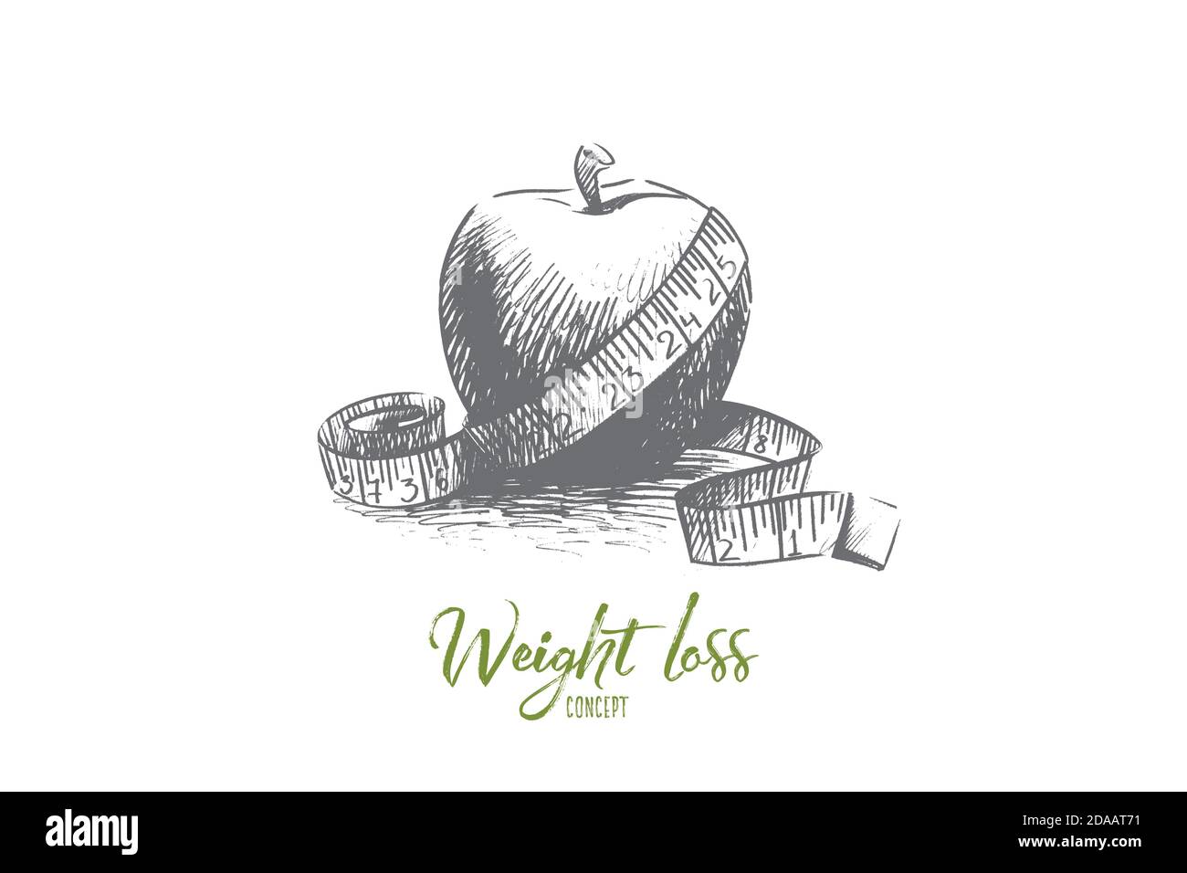 Weight loss concept. Hand drawn isolated vector Stock Vector Image ...