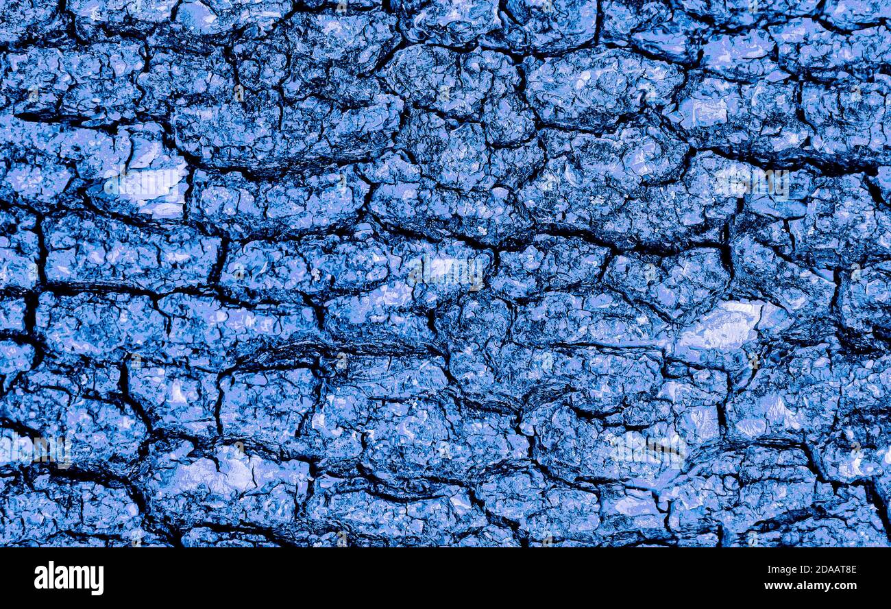 Dark toned natural oak hi-res stock photography and images - Alamy