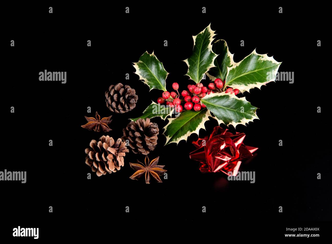 Holly Graphic High Resolution Stock Photography and Images - Alamy