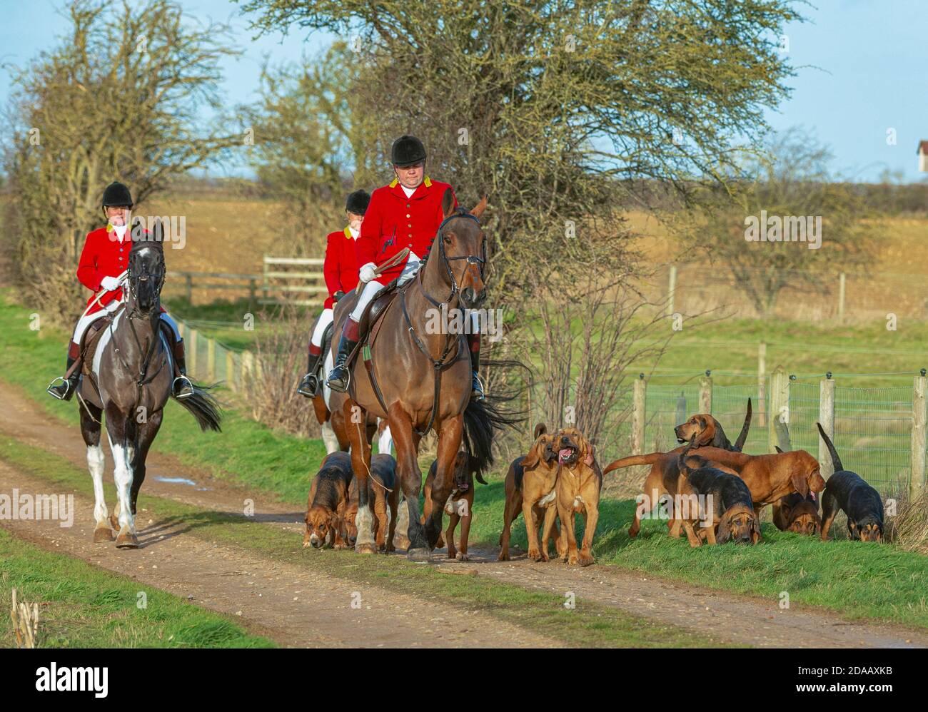 Temple Bruer, Lincolnshire, UK – The Cranwell Bloodhounds hacking to ...