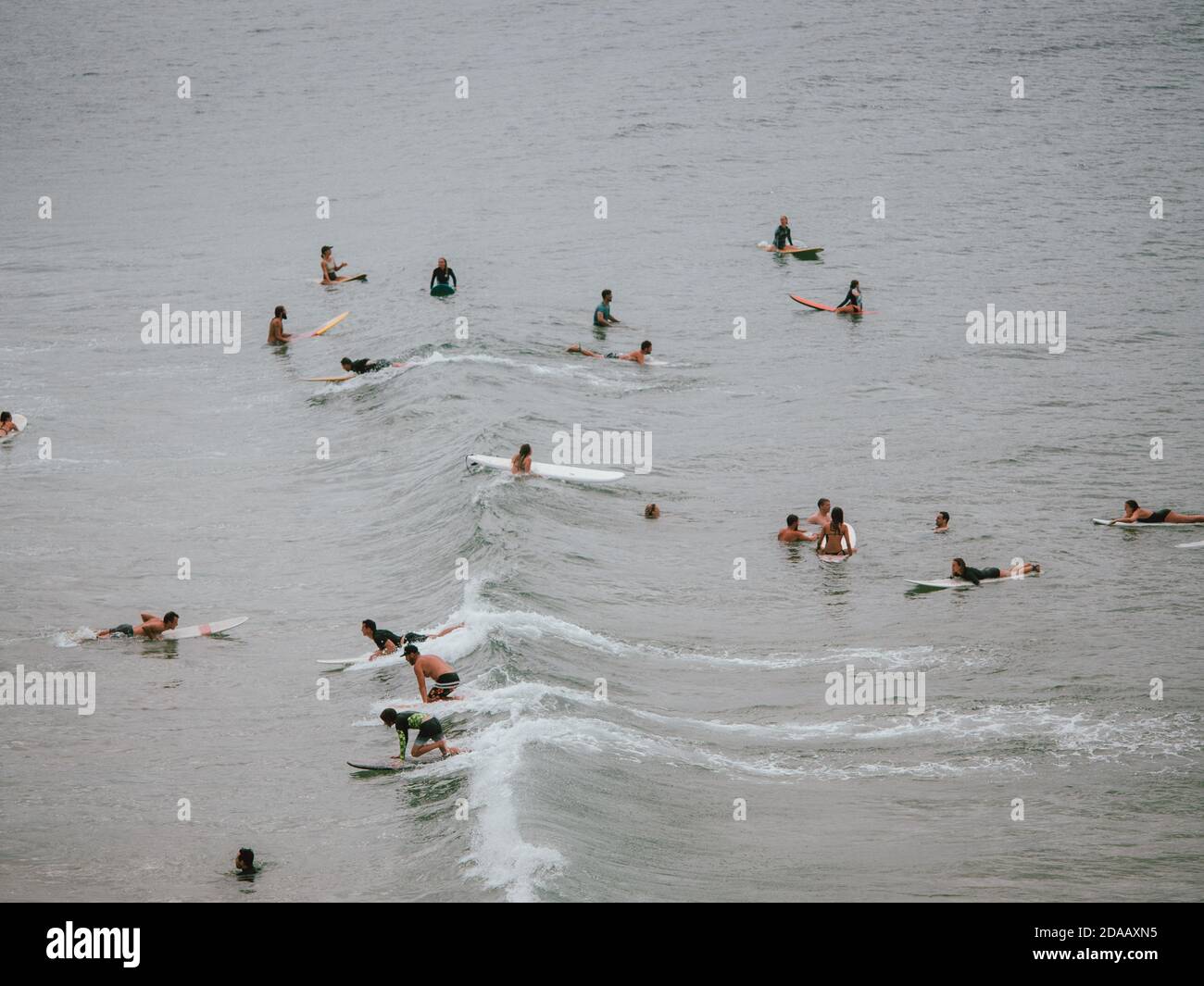 A crowded Australian beach, A sea full of surfers and swimmers Stock ...