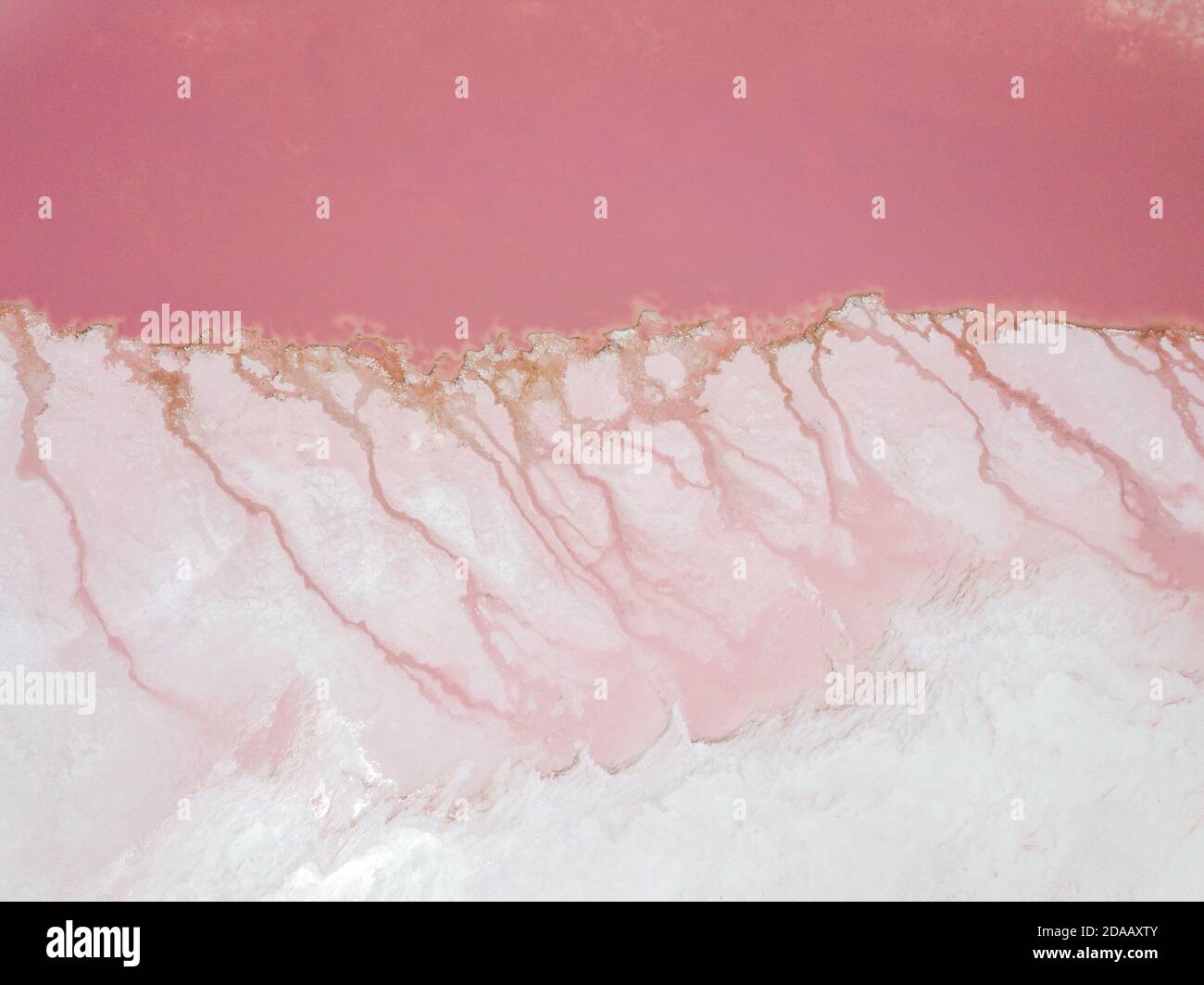 A Natural Pink Lake in Western Australia captured by Drone, an Ariel ...
