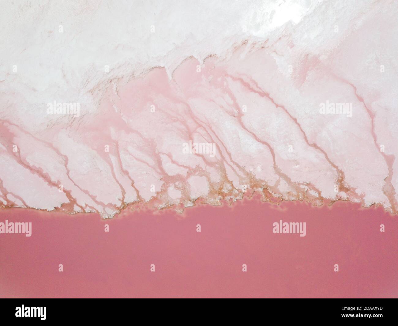 A Natural Pink Lake in Western Australia captured by Drone, an Ariel ...