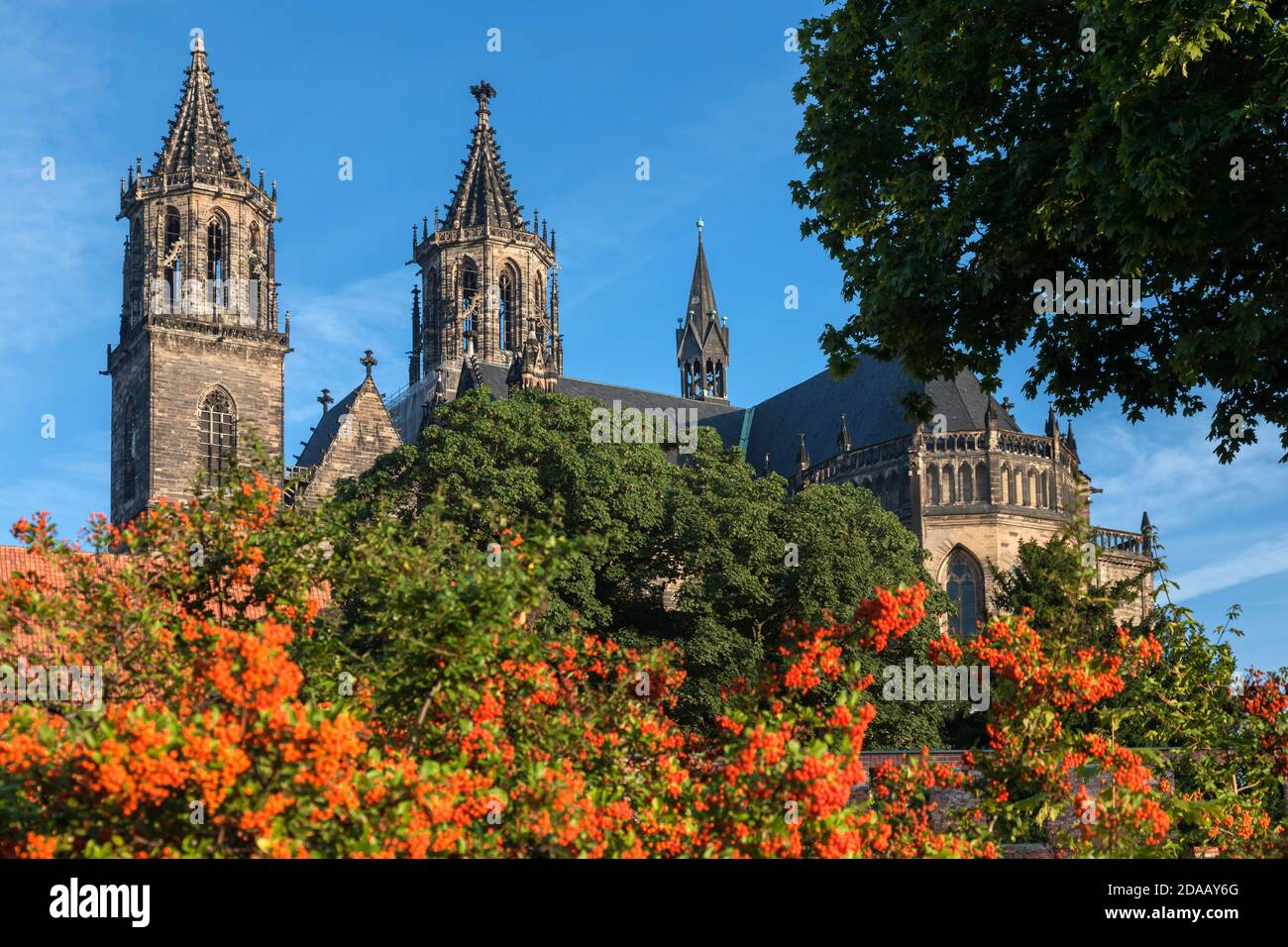 Magdeburg cathedral hi-res stock photography and images - Alamy