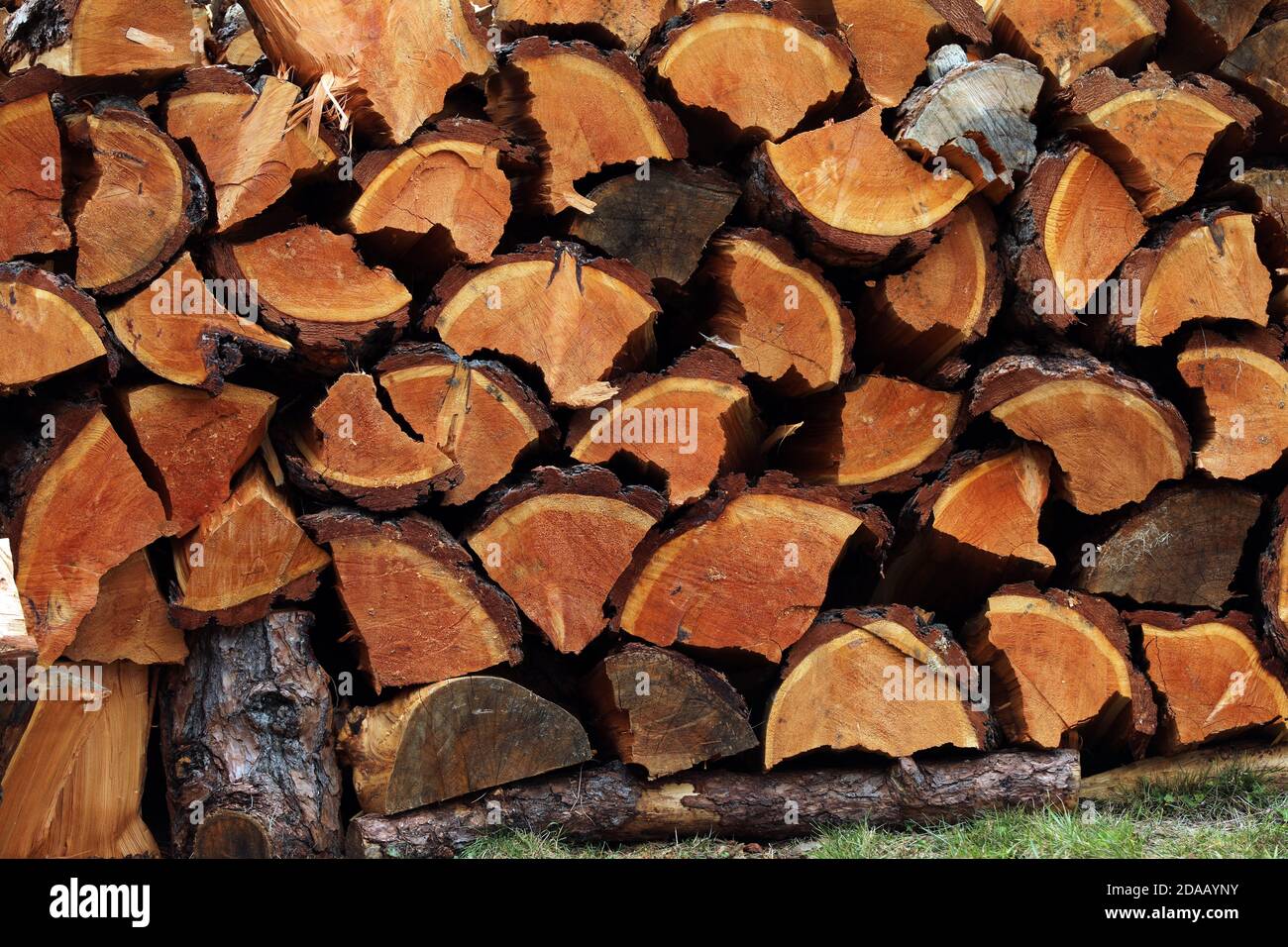 Firewood Wood piled in a pile Stock Photo - Alamy