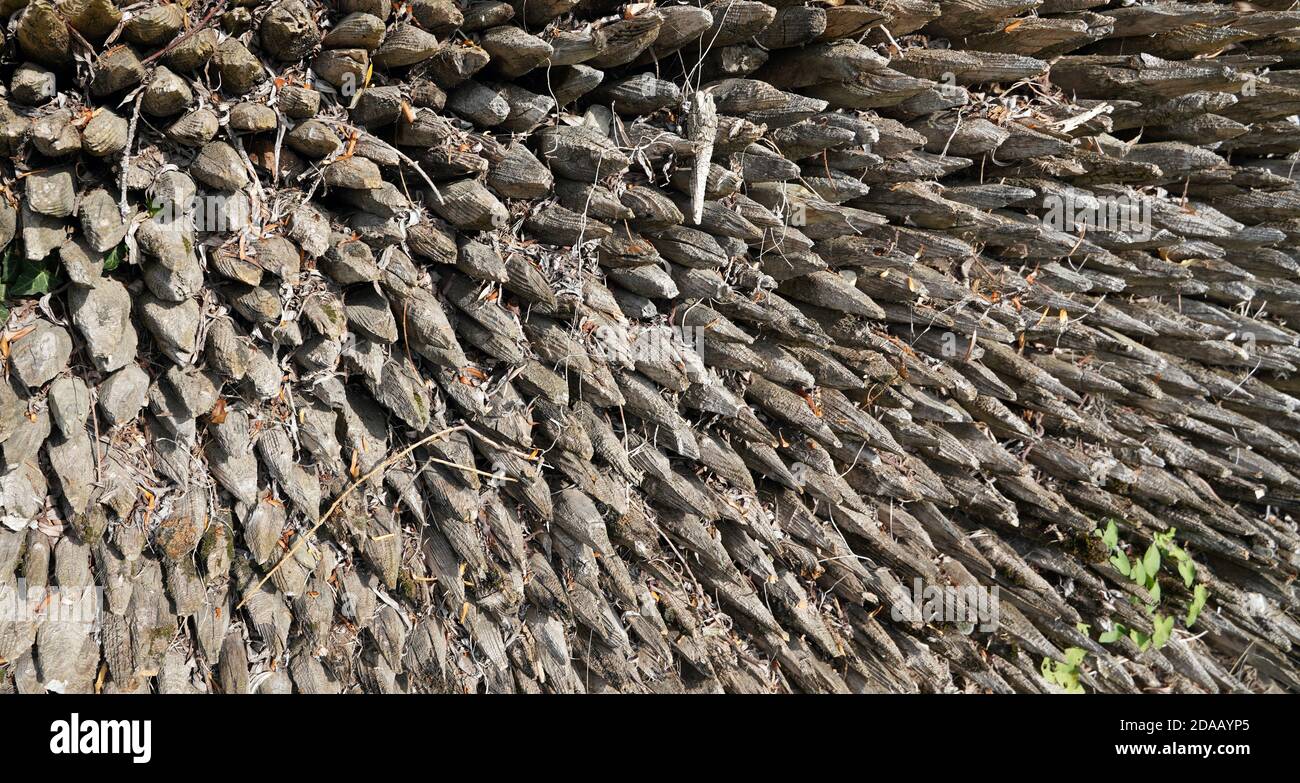 Fence post wooden post piles garden Stock Photo - Alamy