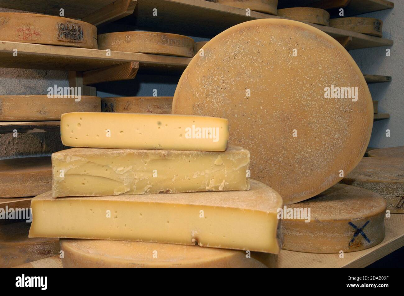 typical Italian mountain cheese from the Valtellina area in the ...