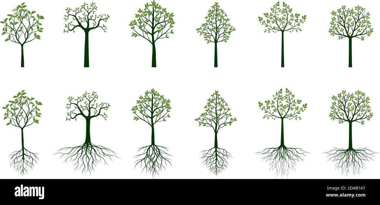 Steam leaves natural plant icon hi-res stock photography and images - Alamy