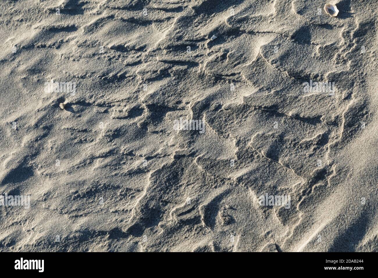 Ripples in wet sand background texture. Beach sand background Stock ...