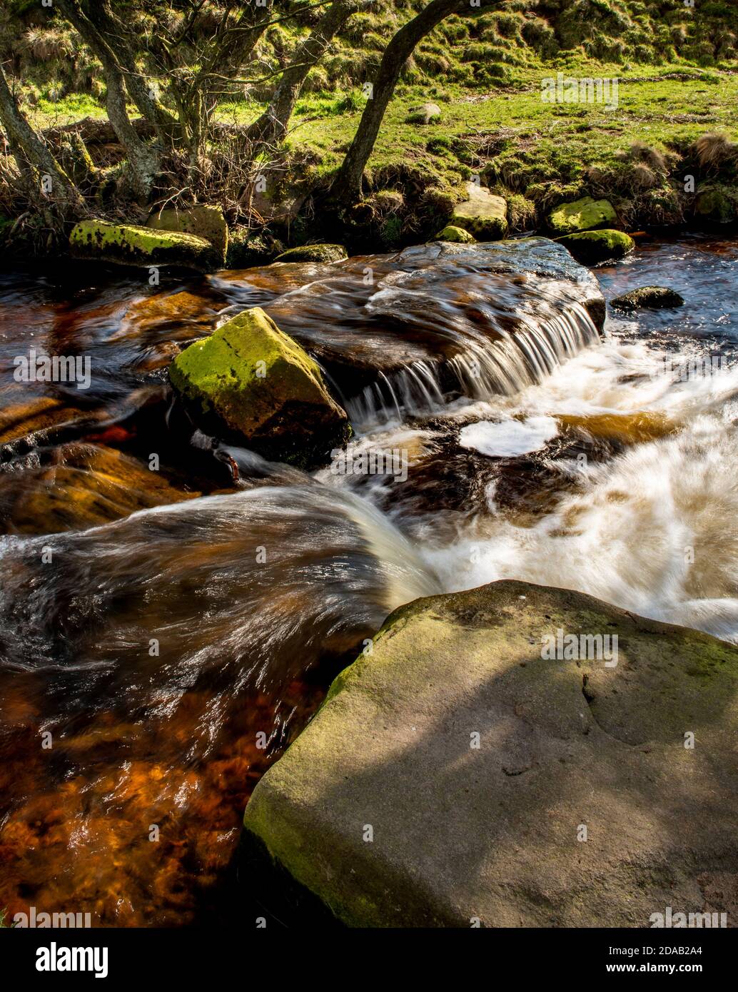 Burbage Brook, Padley Gorge, Longshaw Estate, Peak District National ...