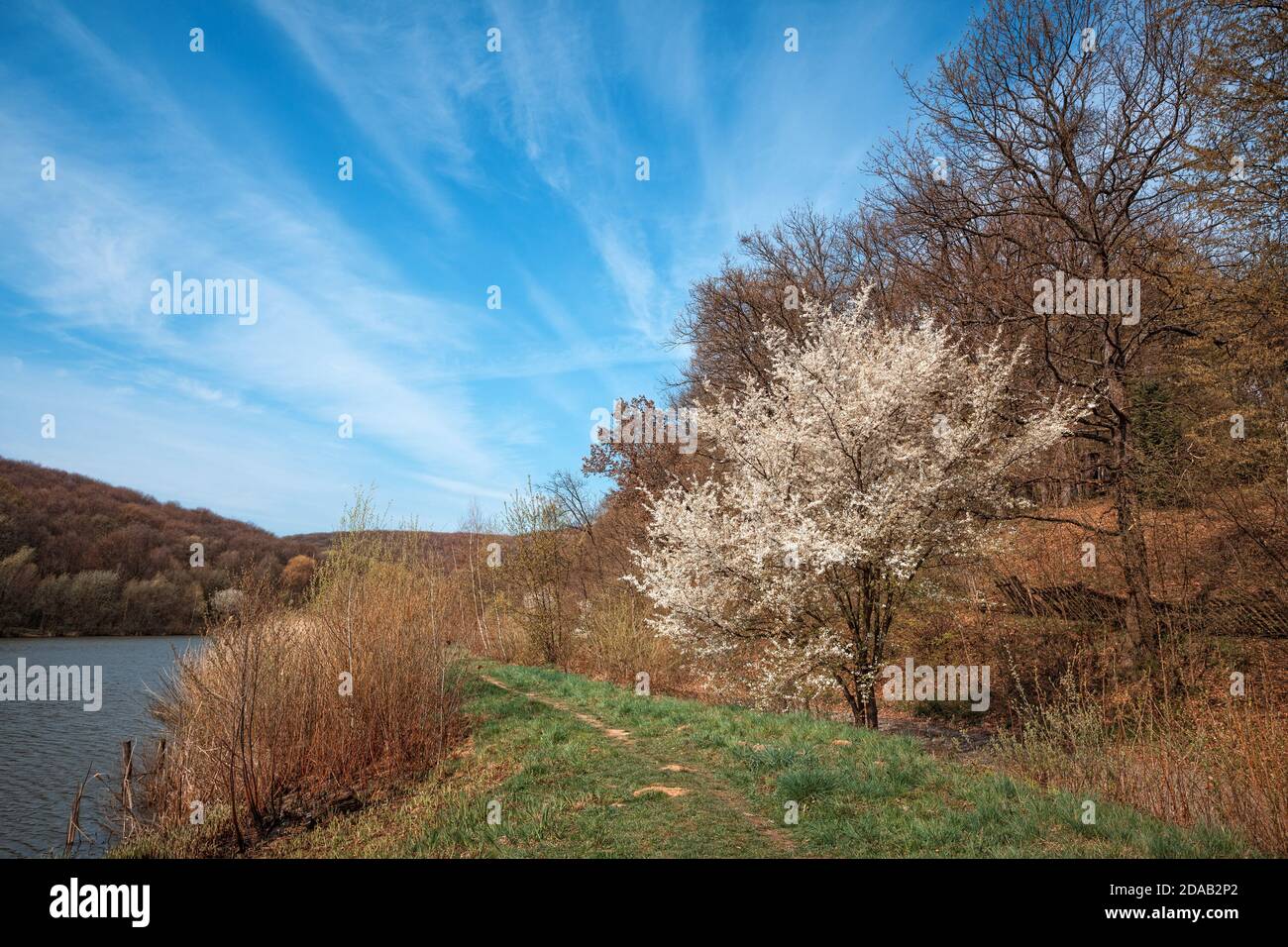 Spring march landscape wood lake hi-res stock photography and images ...