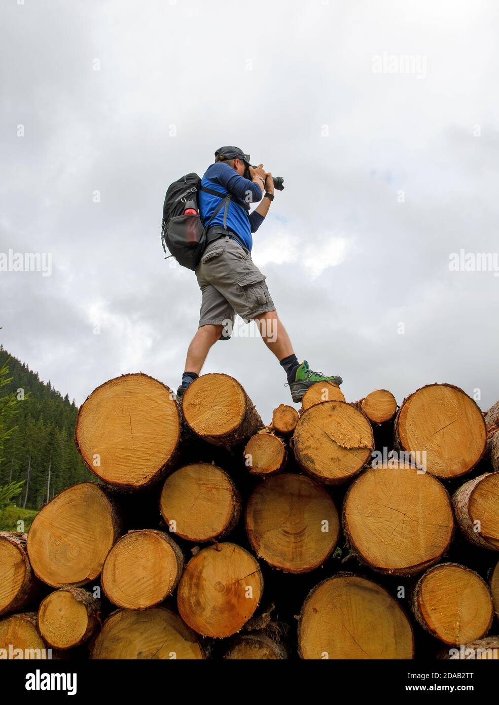 photographer standing on a stack of wooden logs viewing through his ...