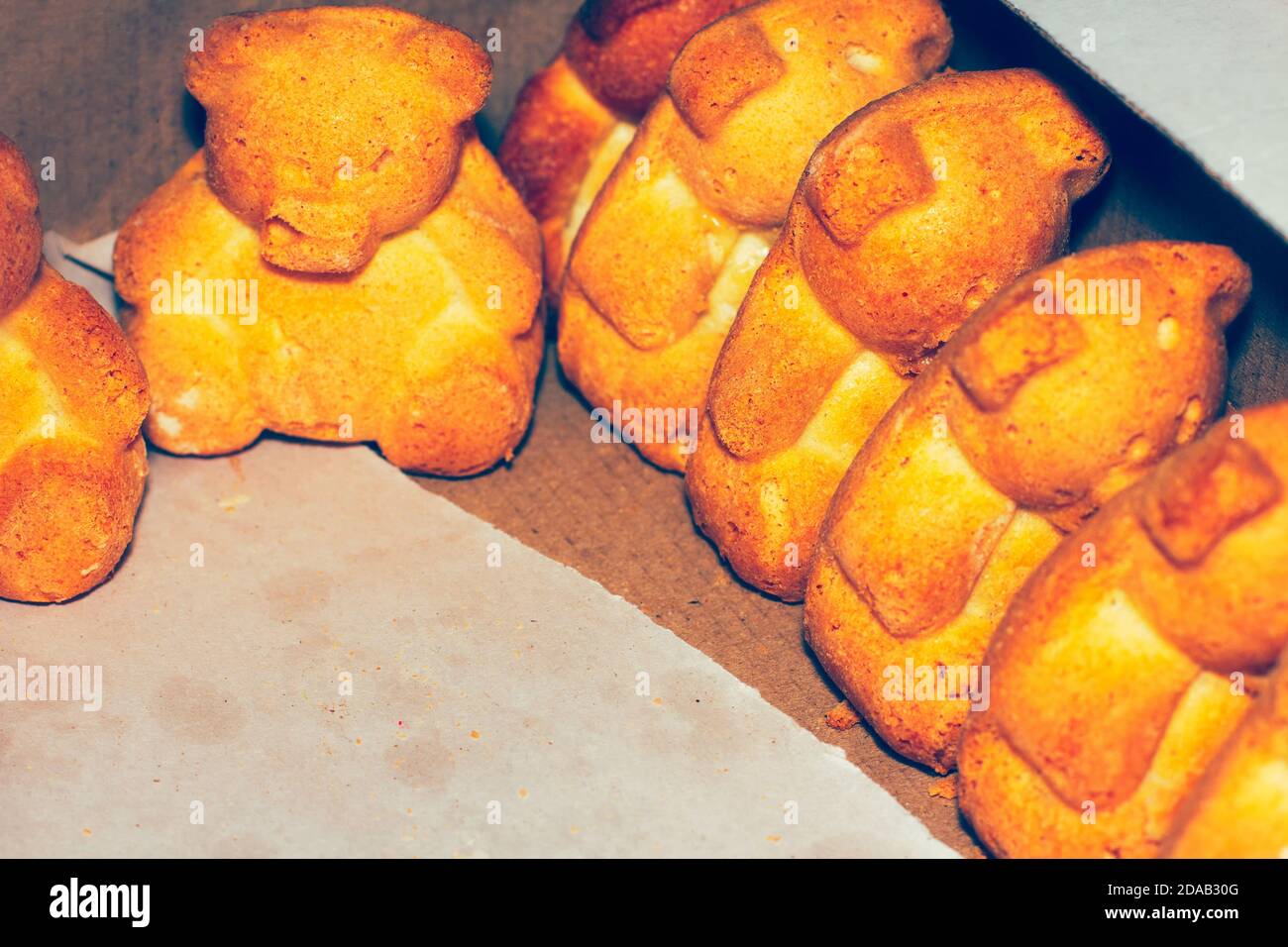 Teddy bear cakes in the box . Sweet dessert for Christmas Stock Photo ...