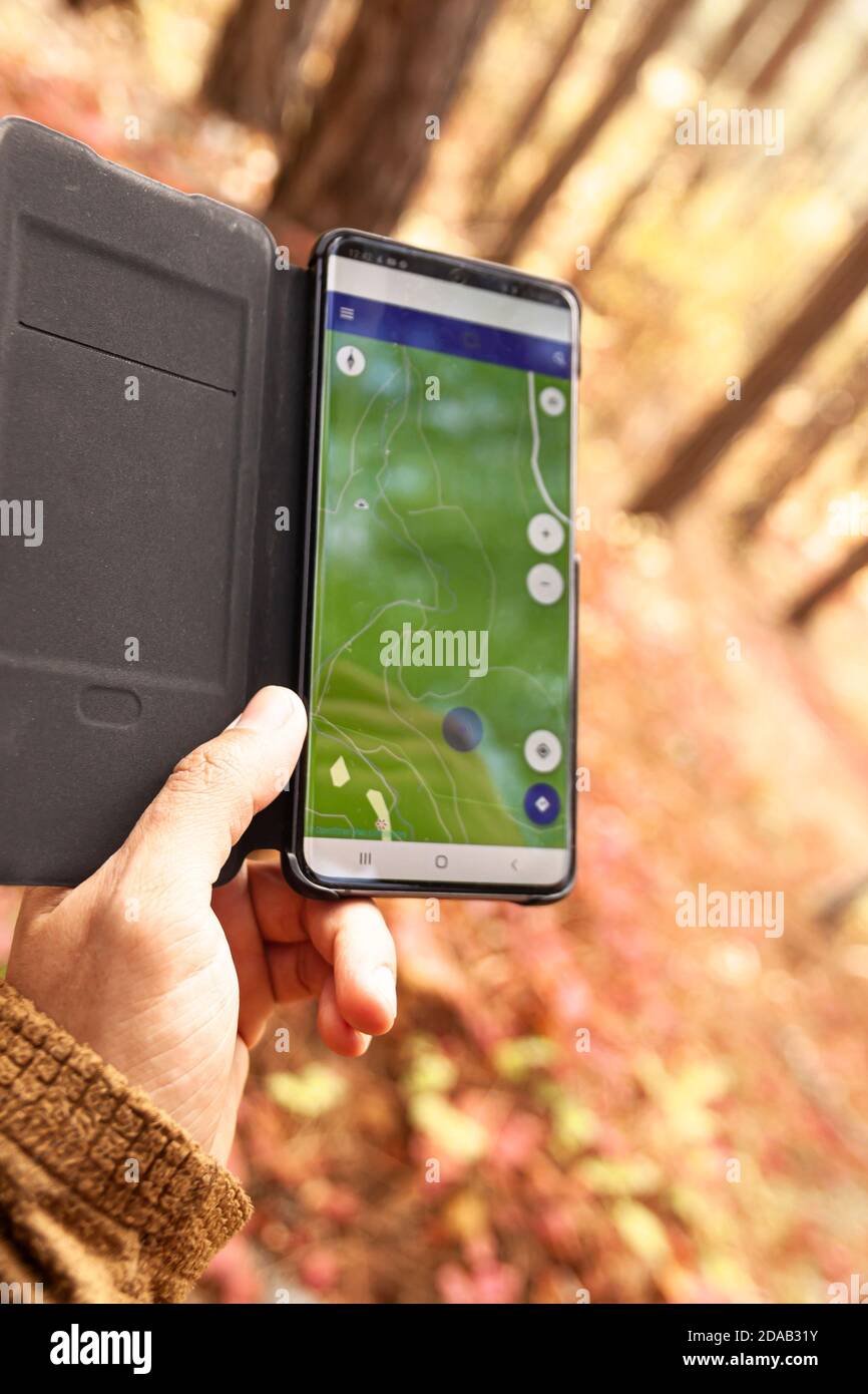 Gps map forest hi-res stock photography and images - Alamy