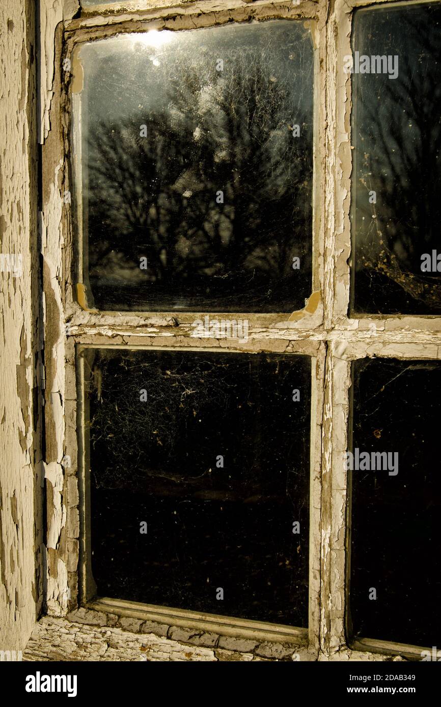 Old dirty window with web and spiders Stock Photo - Alamy