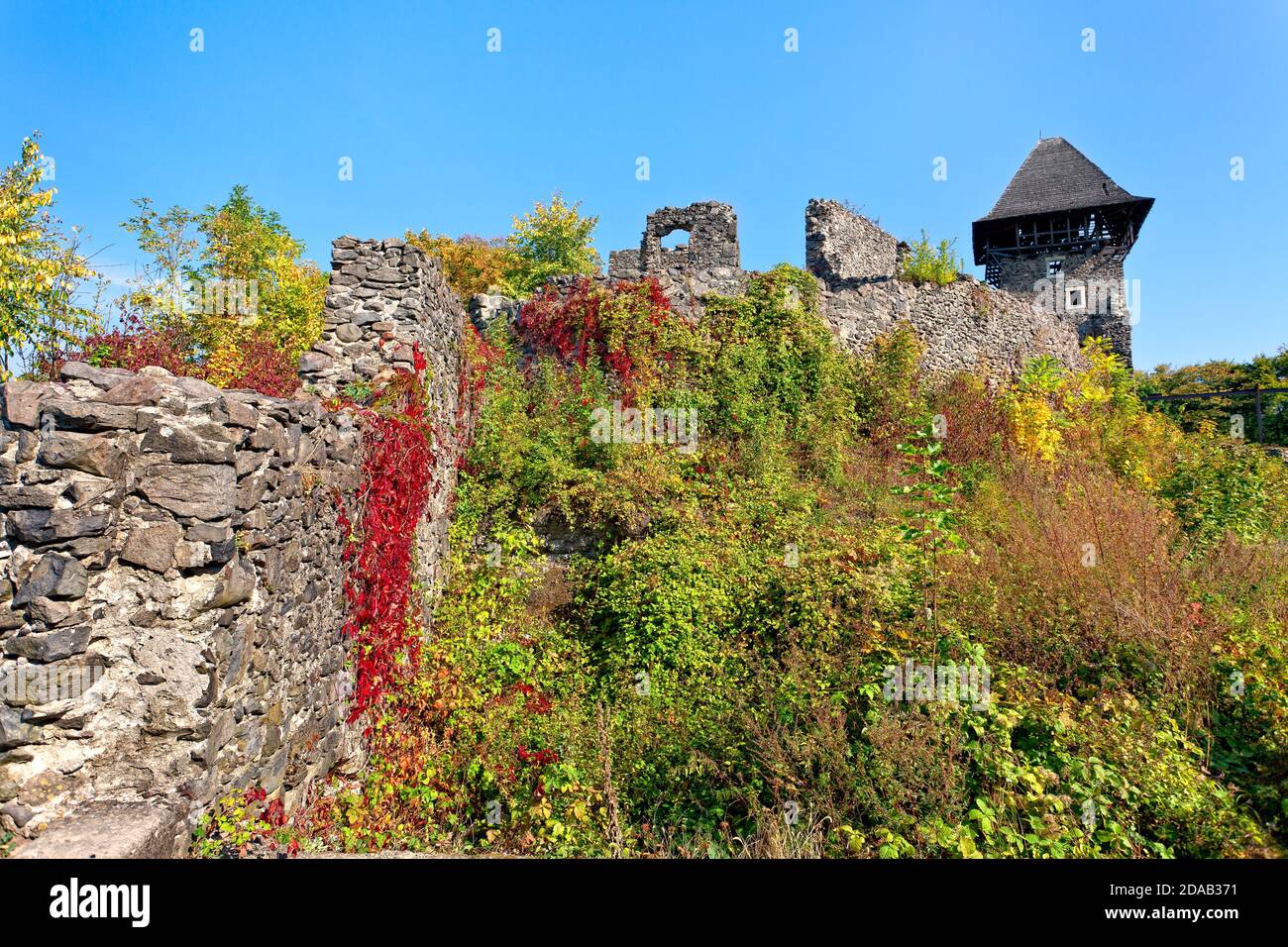 Nevitsky Castle. The wall of an old castle in early autumn Stock Photo ...