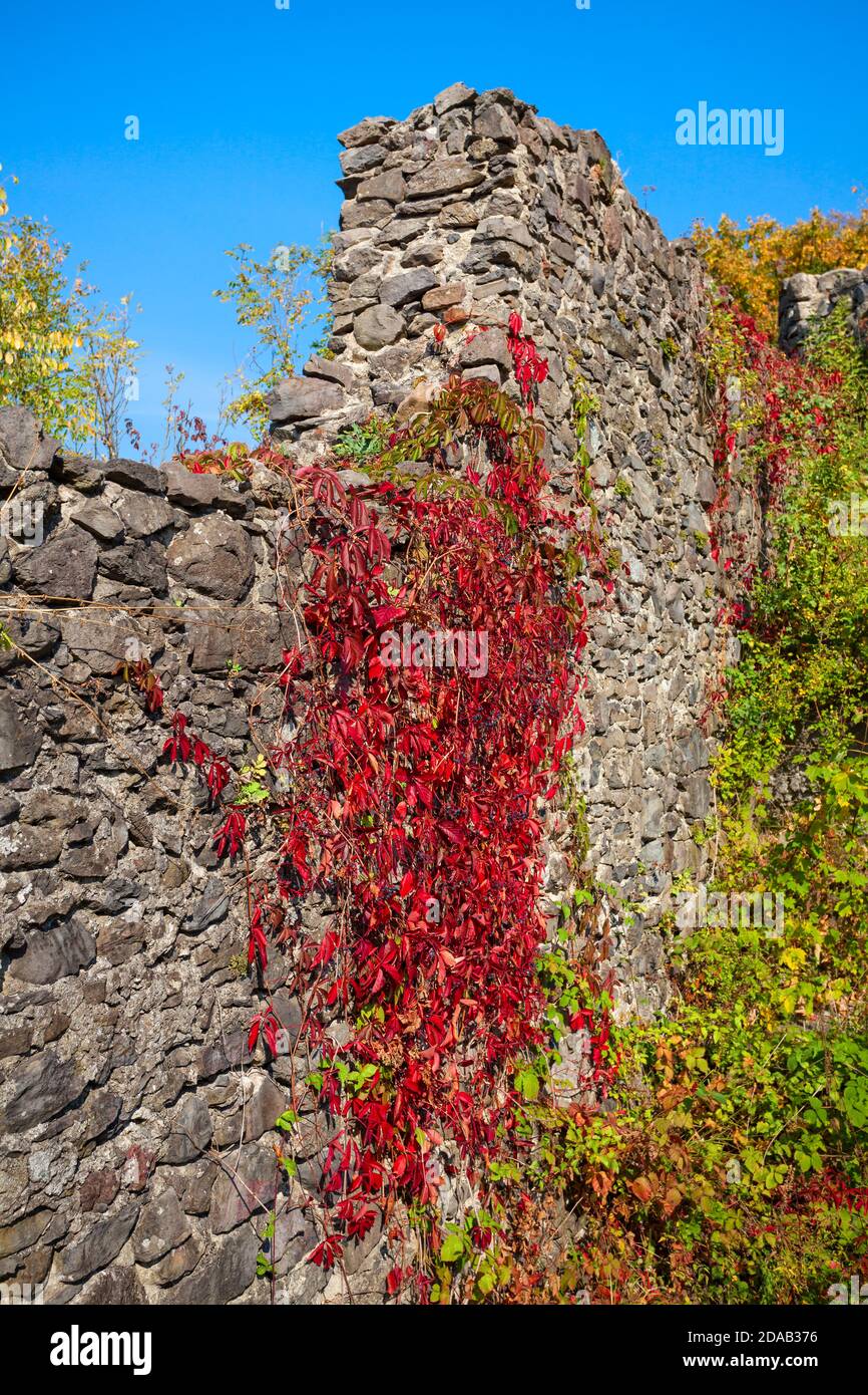 Nevitsky Castle. The wall of an old castle in early autumn Stock Photo ...